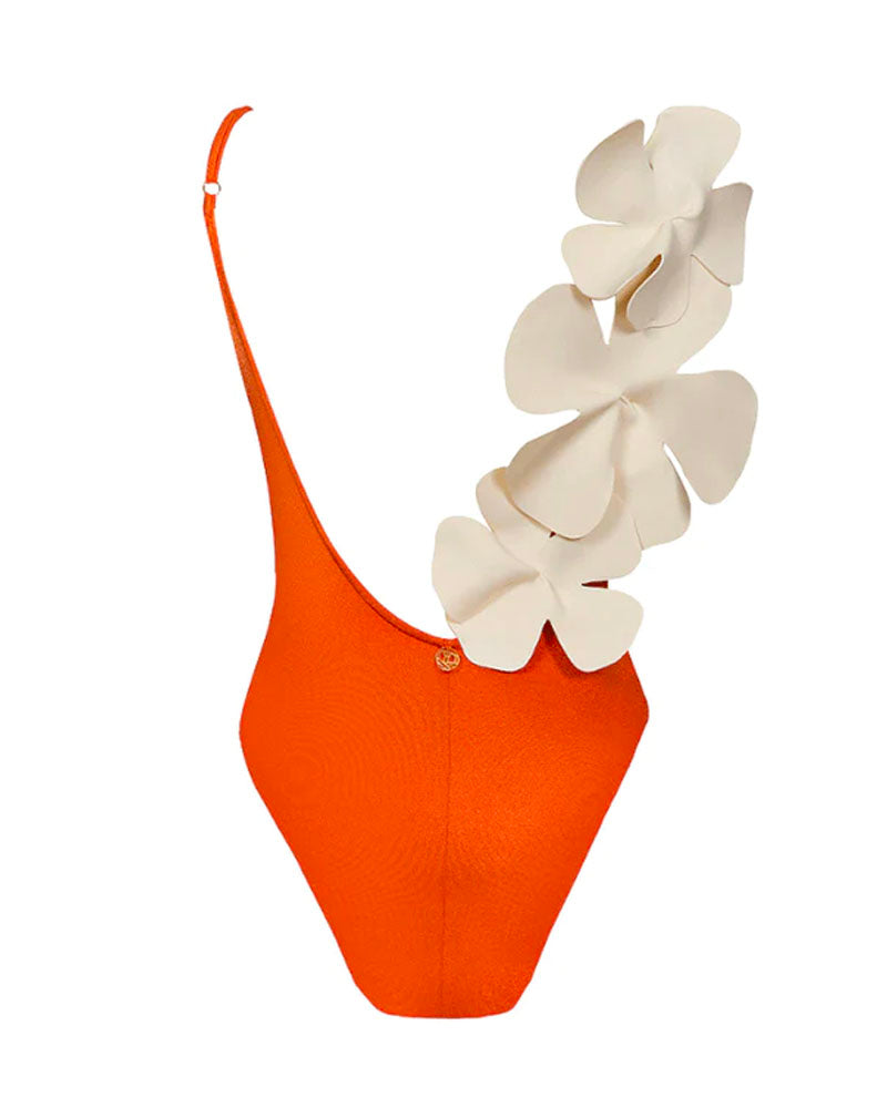 Dana Swimsuit – Sassy2
